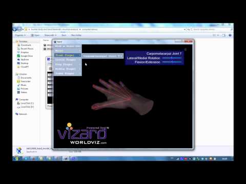 GitHub - ricardomar/Human-body-and-hand-kinematic-structure-analysis-in ...