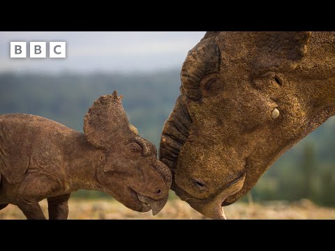 Mum Protects Baby Pachyrhinosaurus | Walking With Dinosaurs - BBC