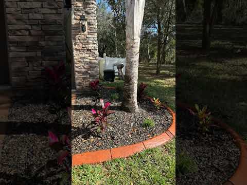 If you’re in the Tampa Florida area, come to my friends lawn service