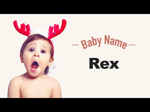Rex - Boy Baby Name Meaning, Origin and Popularity, 2023