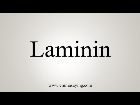 How To Say Laminin
