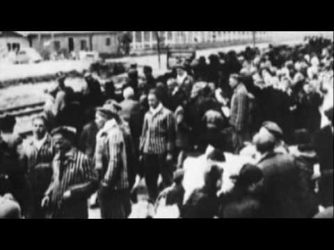 Sonderkommando
