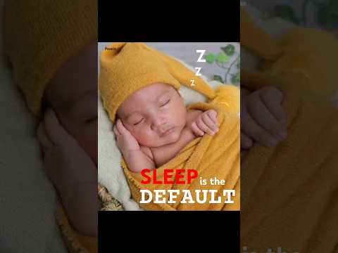 Sleep is the DEFAULT Human State #sleep #human #state #biology #science