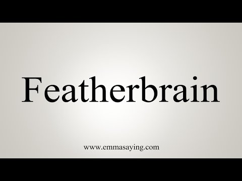 How To Say Featherbrain