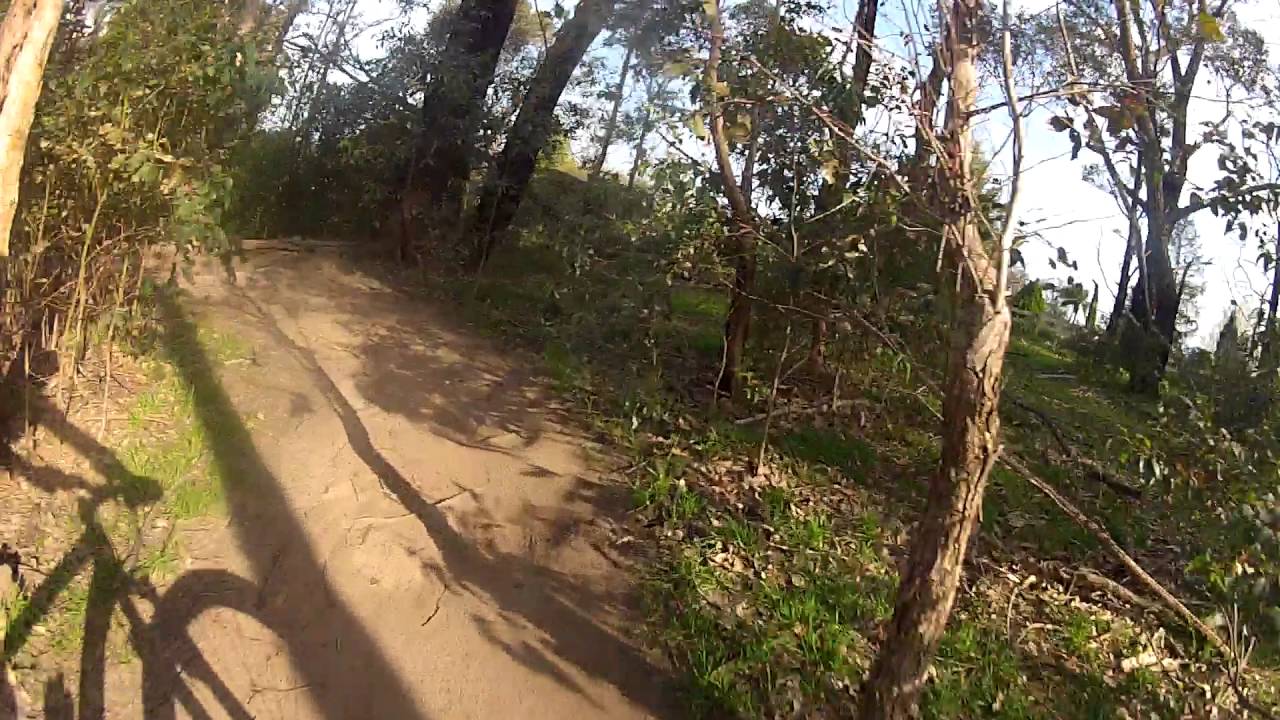 Grant Handy...How many Kangaroos at lysty