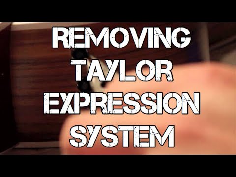 Taylor ES 9V Battery Cartridge iMuso