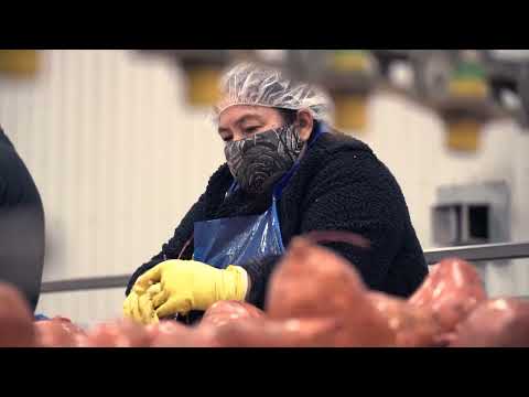 Vick Family Farms Sweet Potatoes