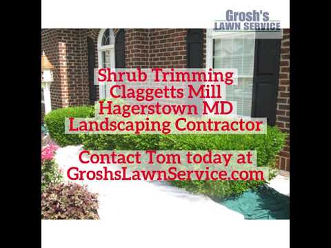 Shrub Trimming Claggetts Mill Hagerstown MD Landscaping Contractor Washington County Maryland
