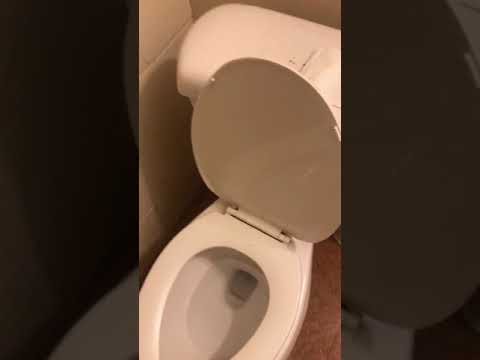Steam Community :: Video :: Toilet ASMR