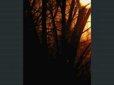 Star Mages by Brenna Lyons book trailer