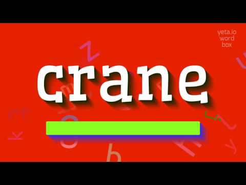 How to say "crane"! (High Quality Voices)