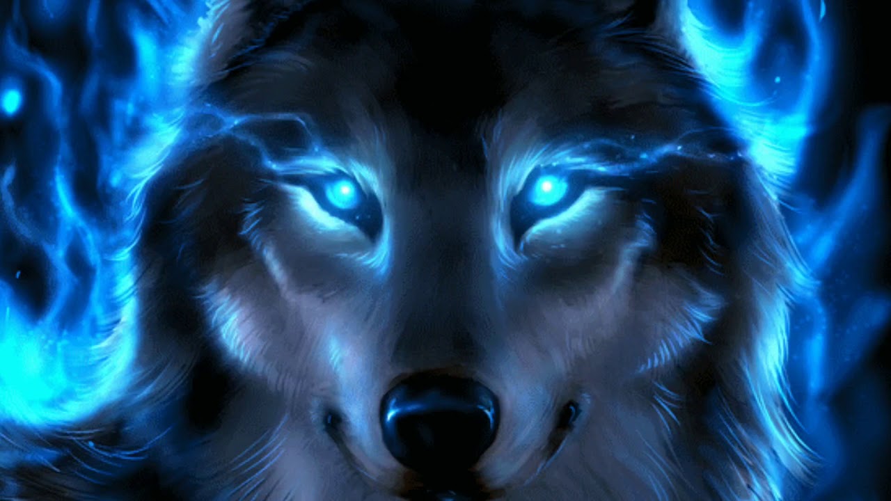 wolf neon glow animated HD background and wallpaper