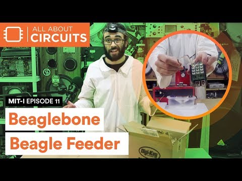 MIT-i Episode 11: The IoT Beaglebone Beagle Feeder!