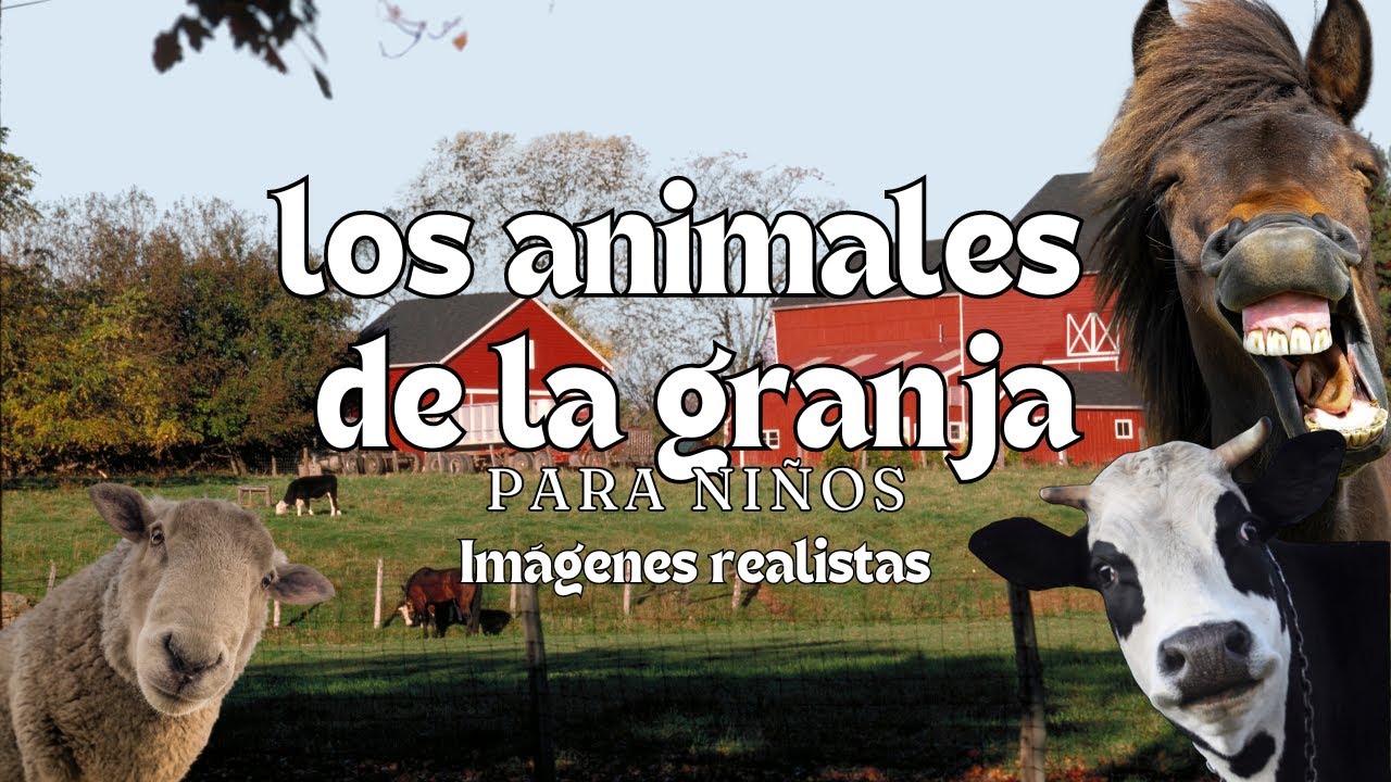 Farm Animals - Educational Videos - Montessori Momers