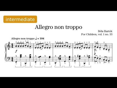Allegro non Troppo - Béla Bartók