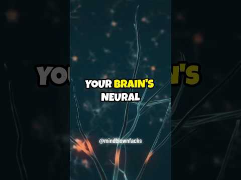 The Brain: Nature's Ultimate Supercomputer