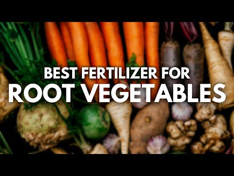 Best Fertilizer for Root Vegetables - Definite Growth and Taste