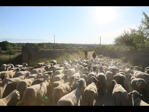 Highlights of Douro International Park and the Côa Valley