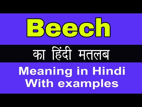 Beech Meaning in Hindi/Beech ka Matlab kya Hota hai