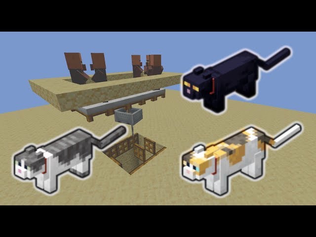 How to spawn cats in Minecraft