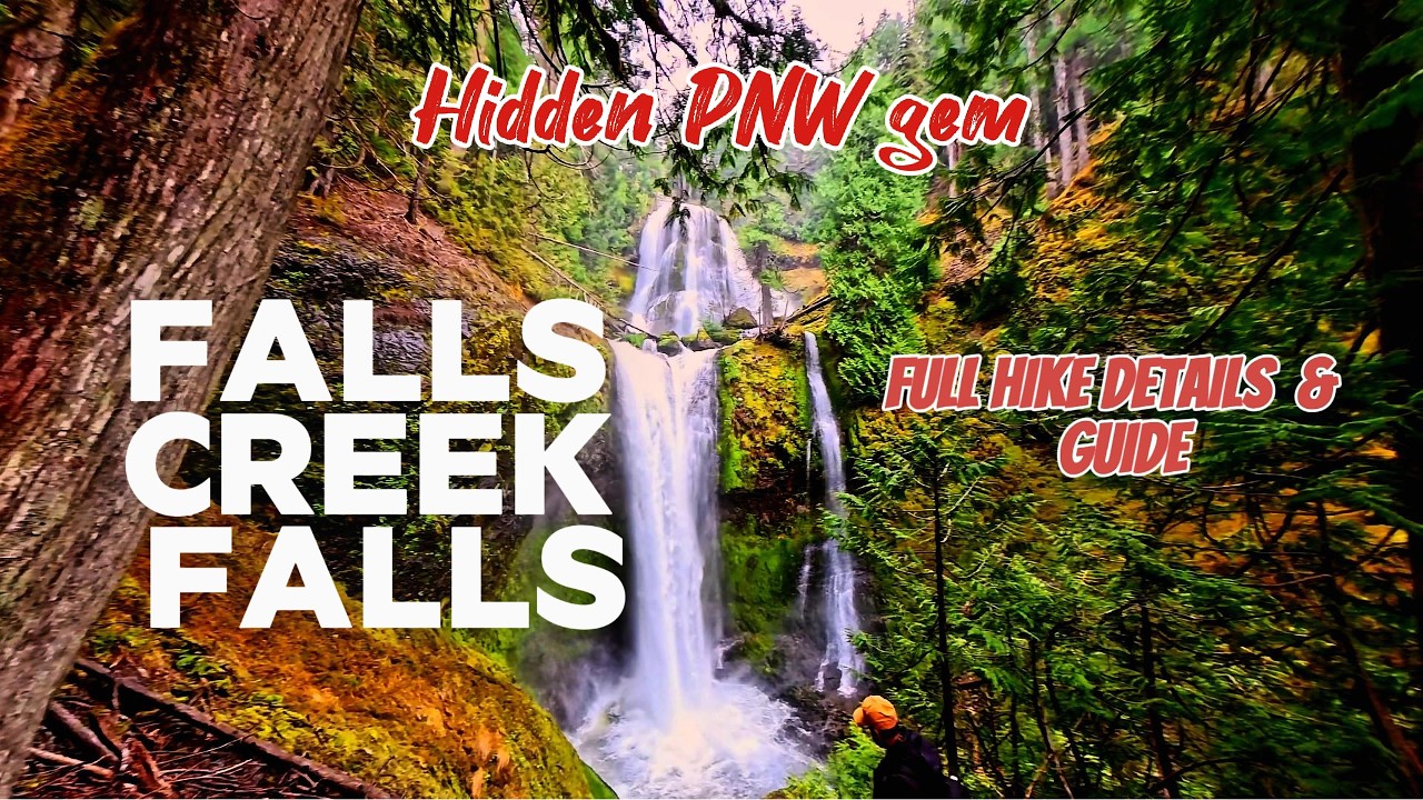 Falls Creek Falls Washington: Complete Trail Guide, Every Viewpoint & Best Time to Visit