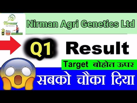 Nirman Agri Genetics Ltd Q1 results 2024 | Nirman Agri Genetics share news today