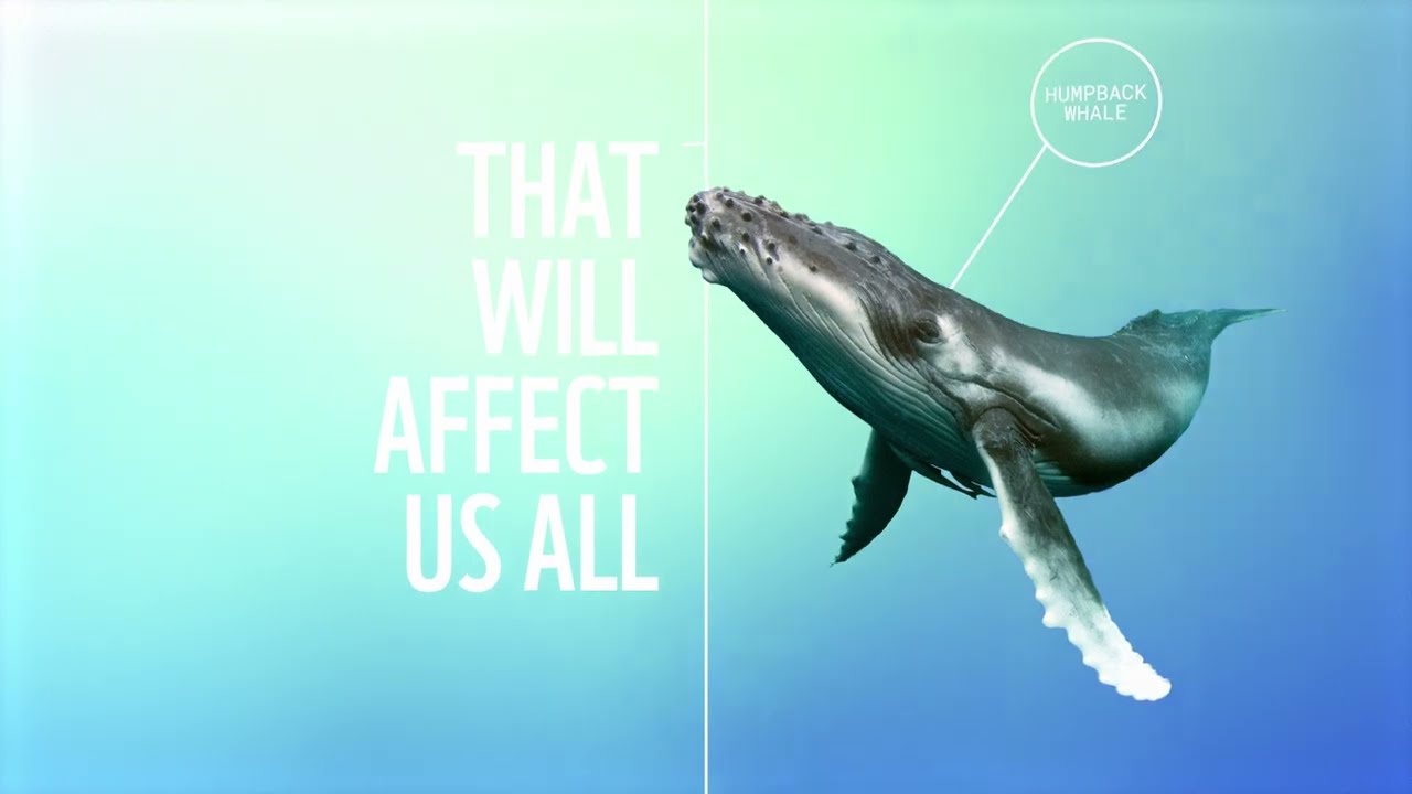 Deep seabed mining explained in 60 seconds