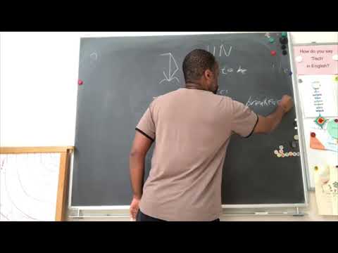 Lessons in Nonsense 20 Sentences!