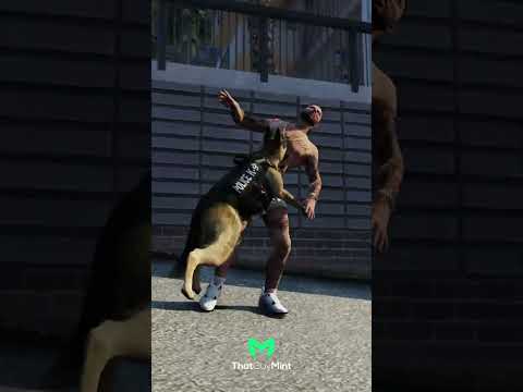 K9 Bites Bank Robber | #nxtrp #gtarp #k9 #gta5