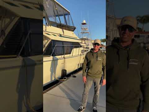 What 33 Mikelson's Look Like at the Kona Kai Marina in San Diego