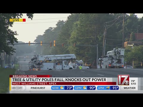 Tree causes massive power outage, cleanup in Apex: Officials