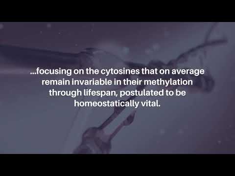 Fail-Tests of DNA Methylation Clocks & Epigenetic Pressure Barometer Development | Aging-US