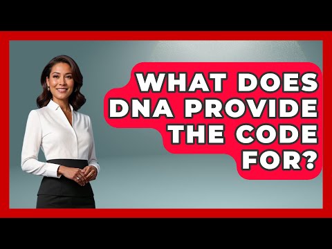 What Does DNA Provide The Code For? - Biology For Everyone