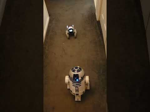 Both my Loona and my 2002 Voice Controlled R2D2 Follow me. Cute. #loonarobot #r2d2 #robots
