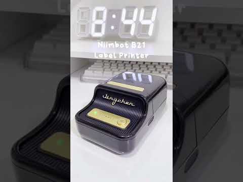 NIIMBOT B21 Label Maker Review | Perfect For Organization and Small Business