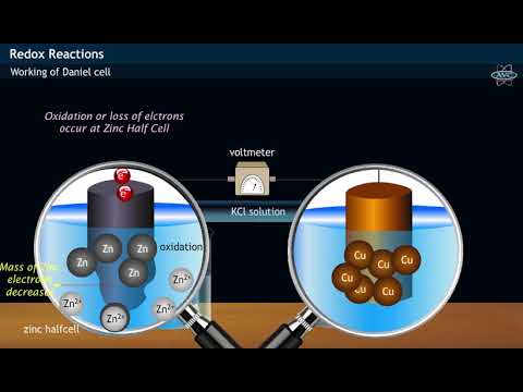 Working of Daniell Cell