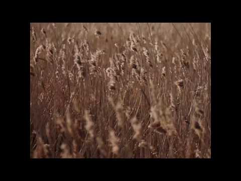 Square video upload to YouTube test