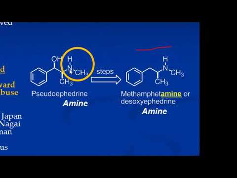Functional Group Video 3: Amines and Amides