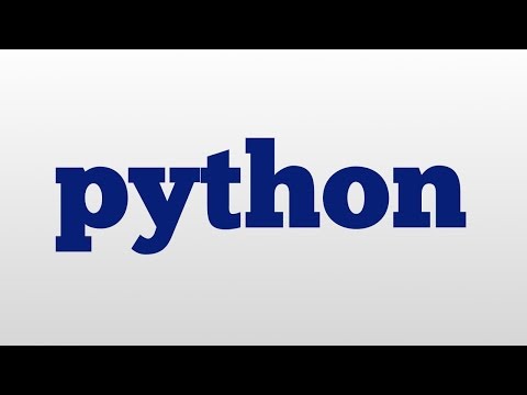 python meaning and pronunciation