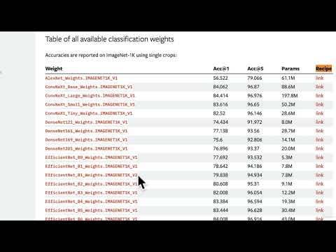 9 Setting Up a Pretrained Model with Torchvision