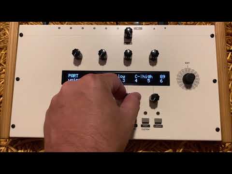 Mutable Instruments Ambika 6-voice SMR4 Pi analog/digital | Reverb