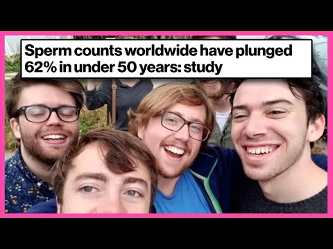 The Science Behind Soy Boys