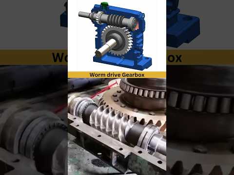 Worm Gear Motor Speed Reducer | Guess, Gear Ratio 🤔
