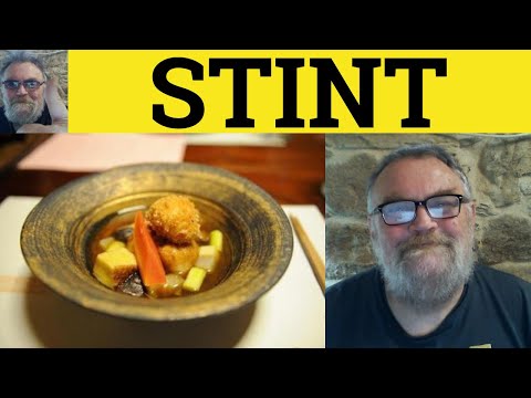 🔵 Stint Meaning - Stinted Examples - Define Stinting - Stint Explained - English C2 Vocabulary