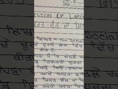 What is division of labour explain its in detail