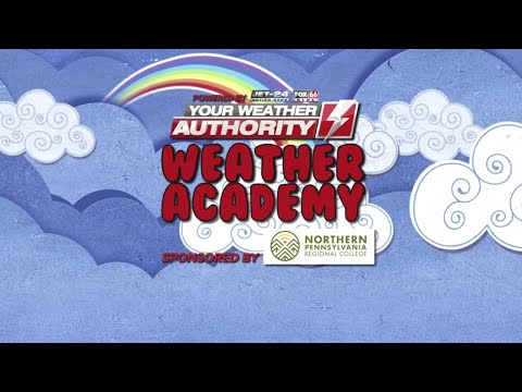 Your Weather Authority Weather Academy: Lake Erie seiche. What is it? How does it happen?