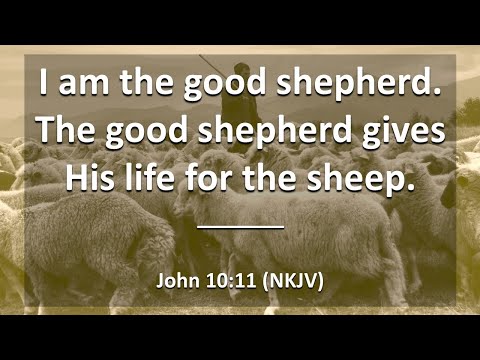 The Good Shepherd Sermon- John 10:11-18 | Unashamed of Jesus