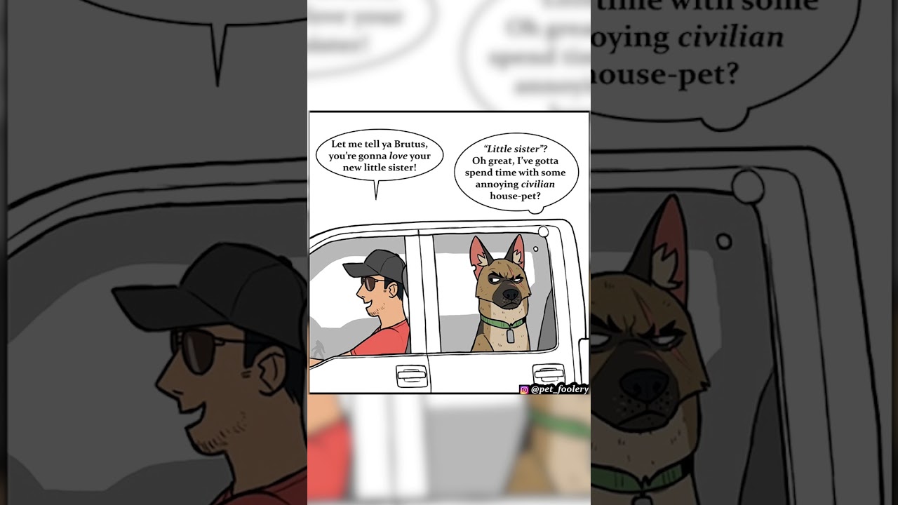 First Met... (Pixie & Brutus Comic Dub)