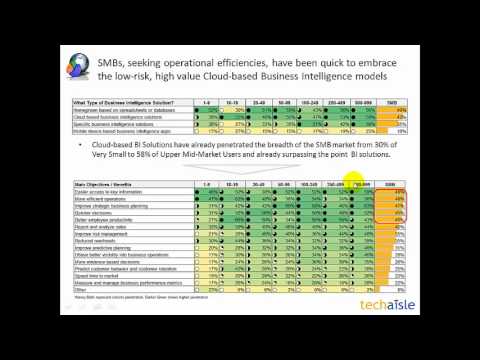 SMB Business Intelligence Adoption
