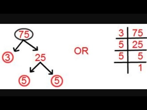 Factor Tree Of 75|Prime Factorization Of 75